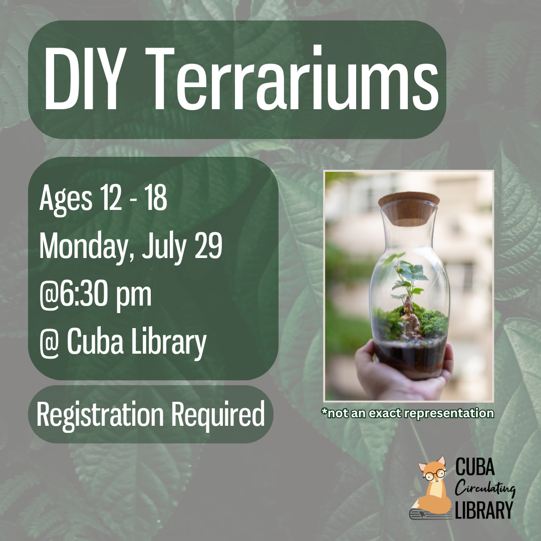 DIY Terrariums (Instagram Post) – Cuba Circulating Library